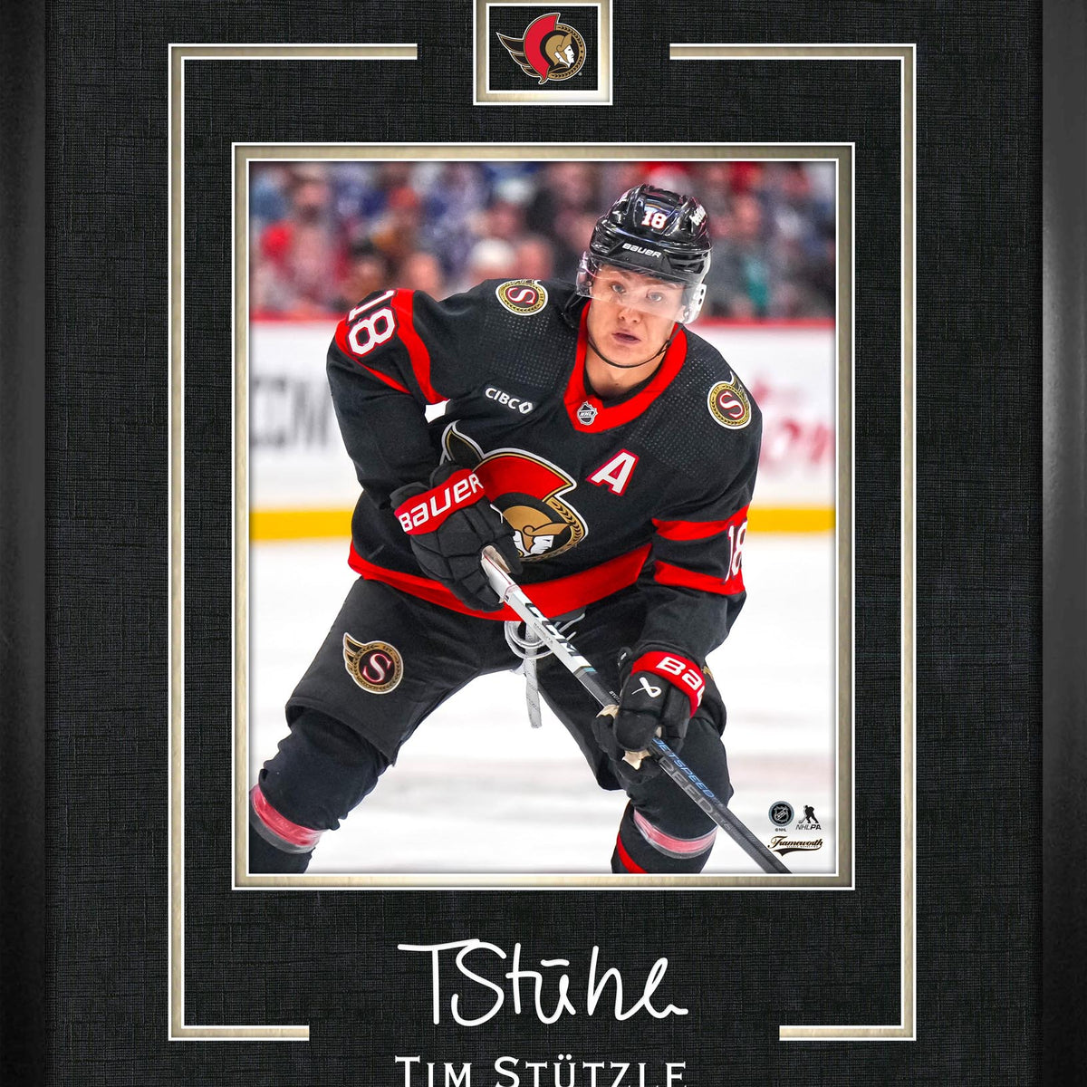 Tim Stutzle 16x20 Replica Signature Frame Senators – Frameworth Sports ...