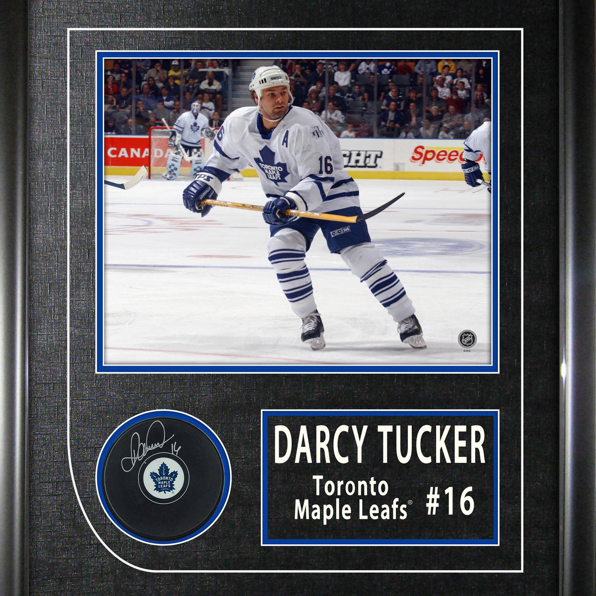 Darcy Tucker Signed Puck Framed 17x19.5" Toronto Maple Leafs ...